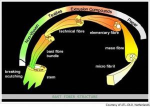 Why Use Bast Fibers? | Bast Fibers LLC